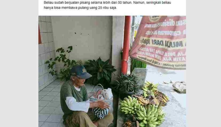 Apa itu Newsletter? Pengertian, Contoh dan Cara Membuatnya
