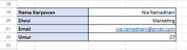 Contoh Database Karyawan Dengan Excel dan Cara Membuatnya